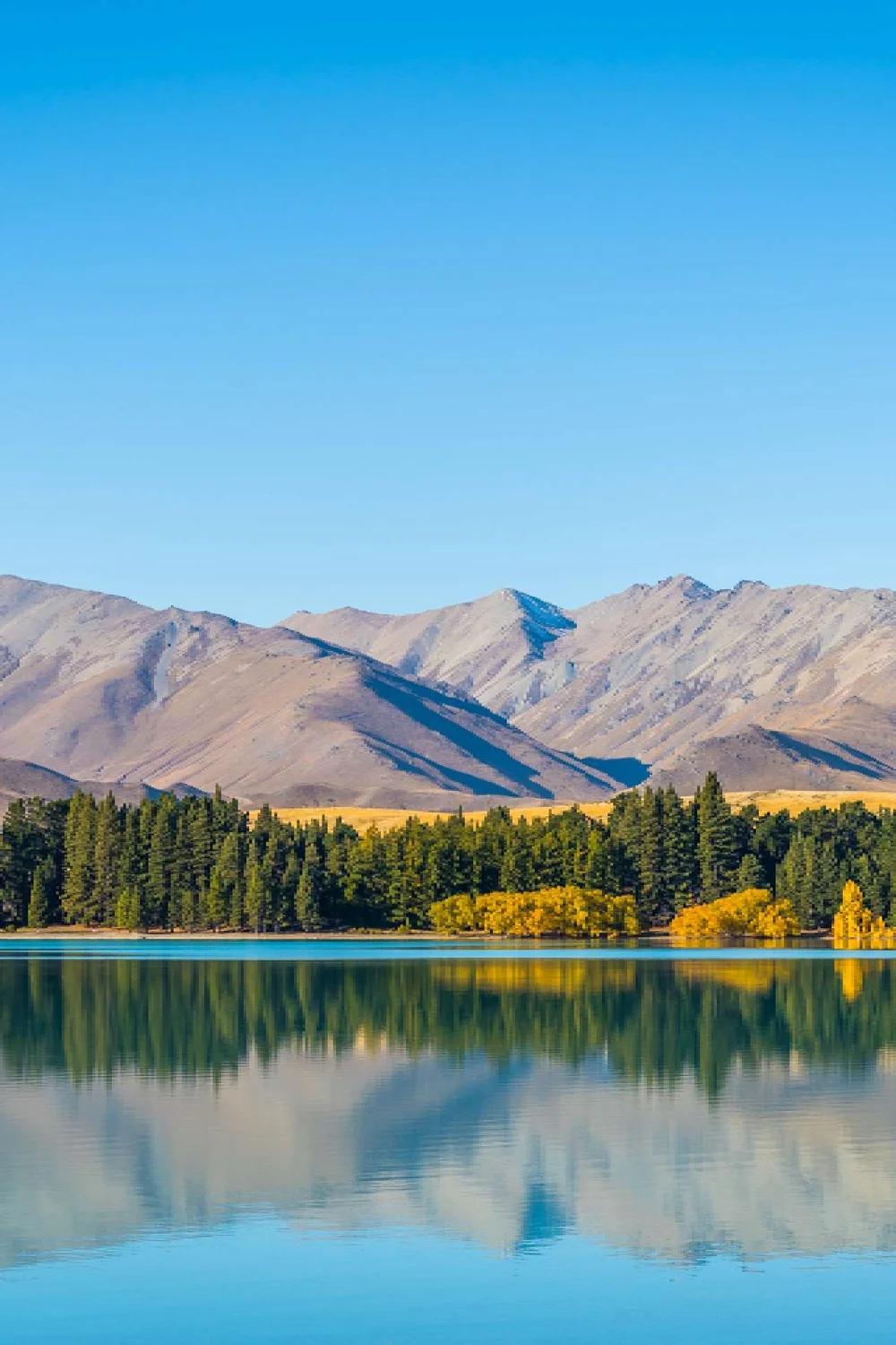 10 incredible things to do in Lake Tekapo - lupins, stars, views & more — Petrina Darrah