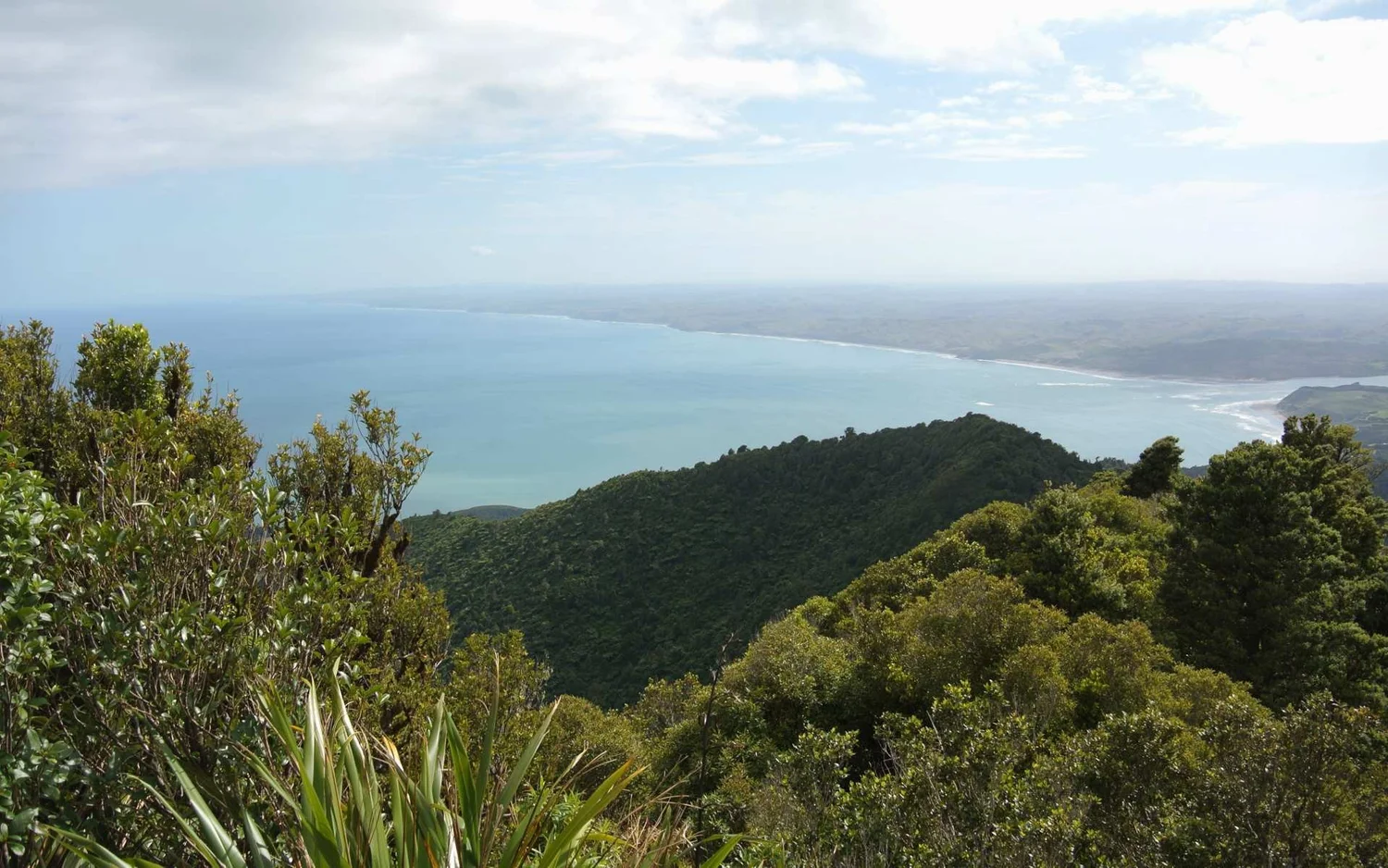 17 Fun & Laid Back Things To Do In Raglan, New Zealand's Hippie Surf ...