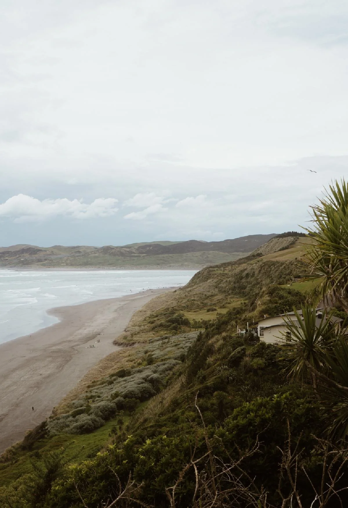 The Best Things To See & Do In Raglan, New Zealand's Hippie Surf Town ...