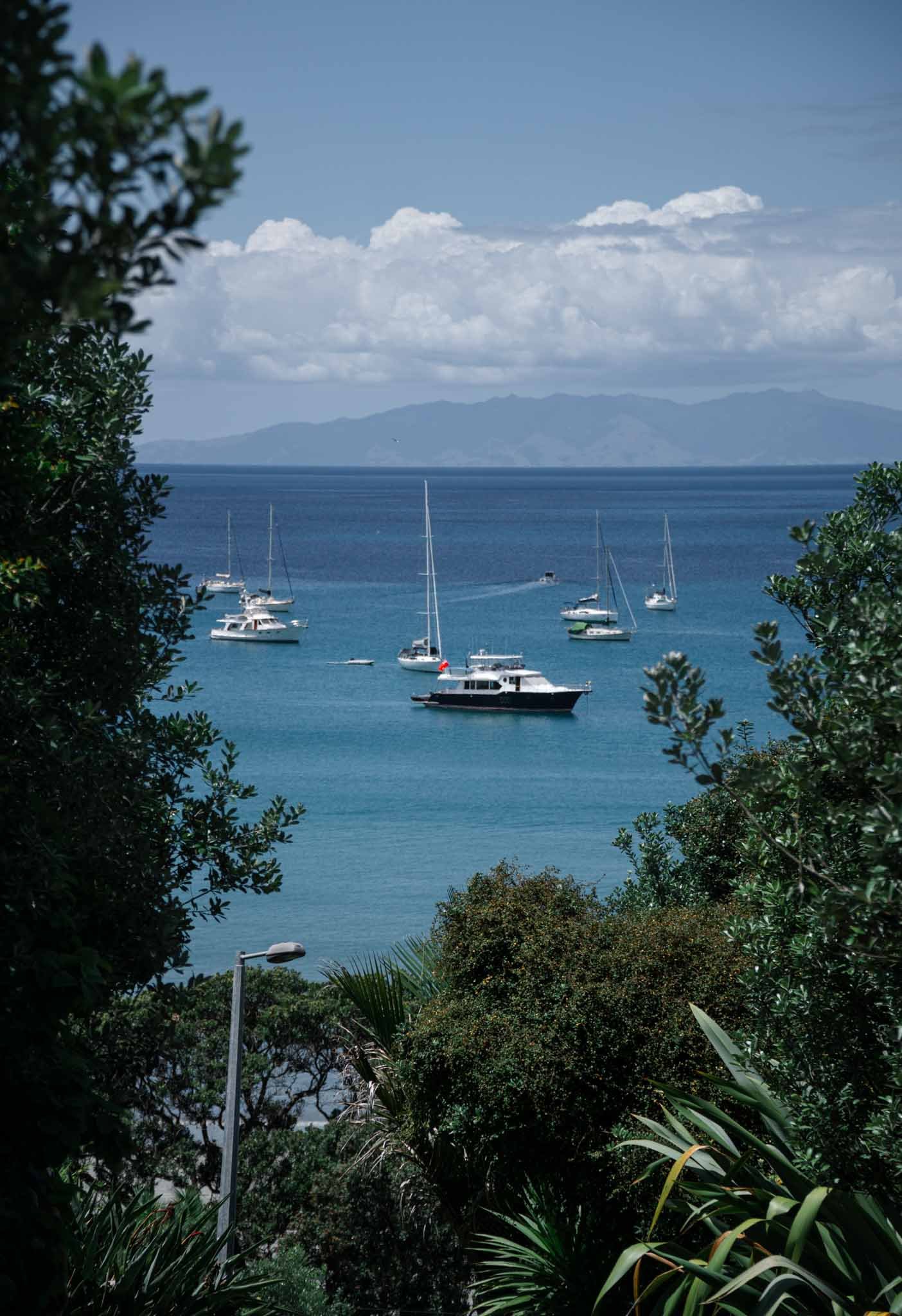 13 Awesome Things to Do on Waiheke Island (For Wine Lovers & Non ...