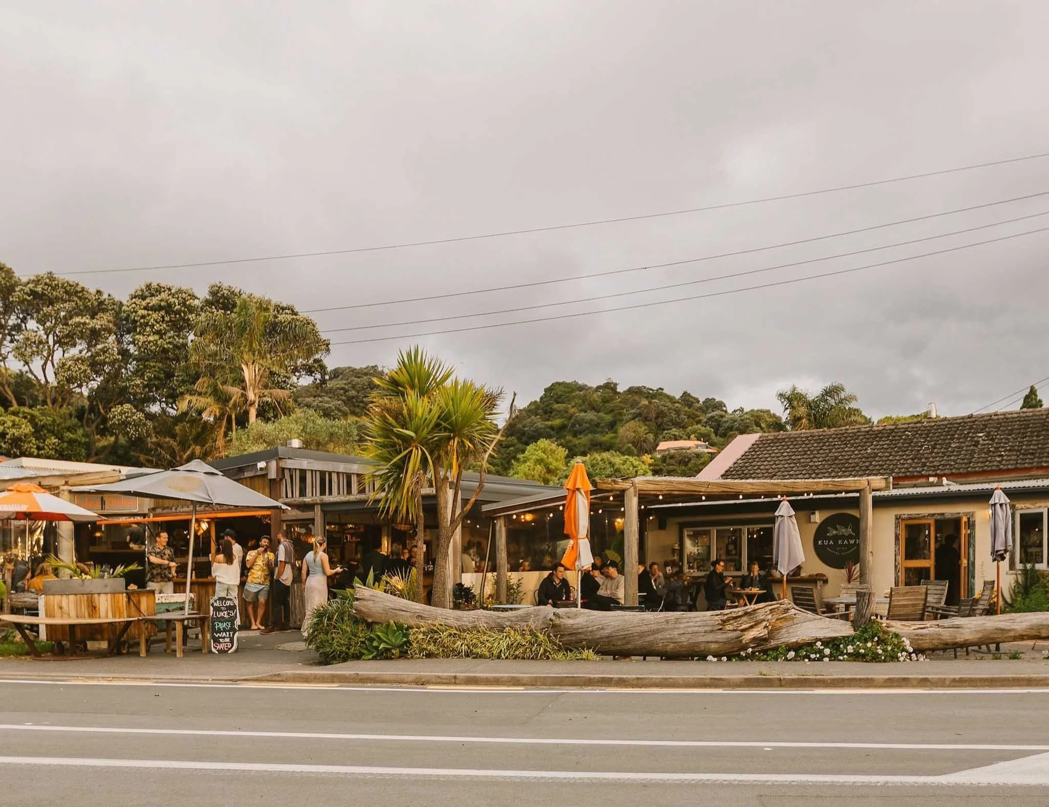 Road Trip The Coromandel Peninsula: My Guide To The Best Things To Do ...