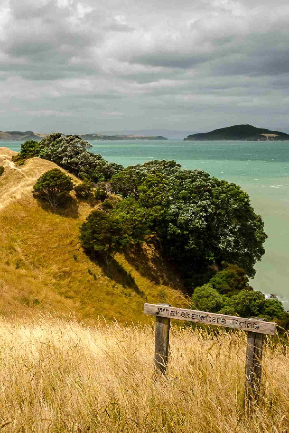 14 Epic Auckland Walks And Hikes For Nature Lovers — Petrina Darrah