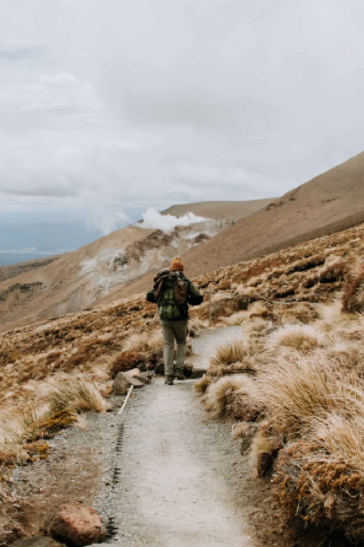 10 Things You NEED To Know About New Zealand's Great Walks — Petrina Darrah