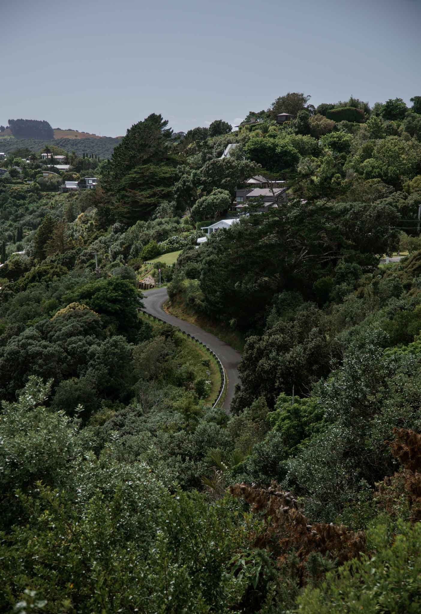 How To Get Around Waiheke Island By Public Bus, Car, Bicycle & More ...
