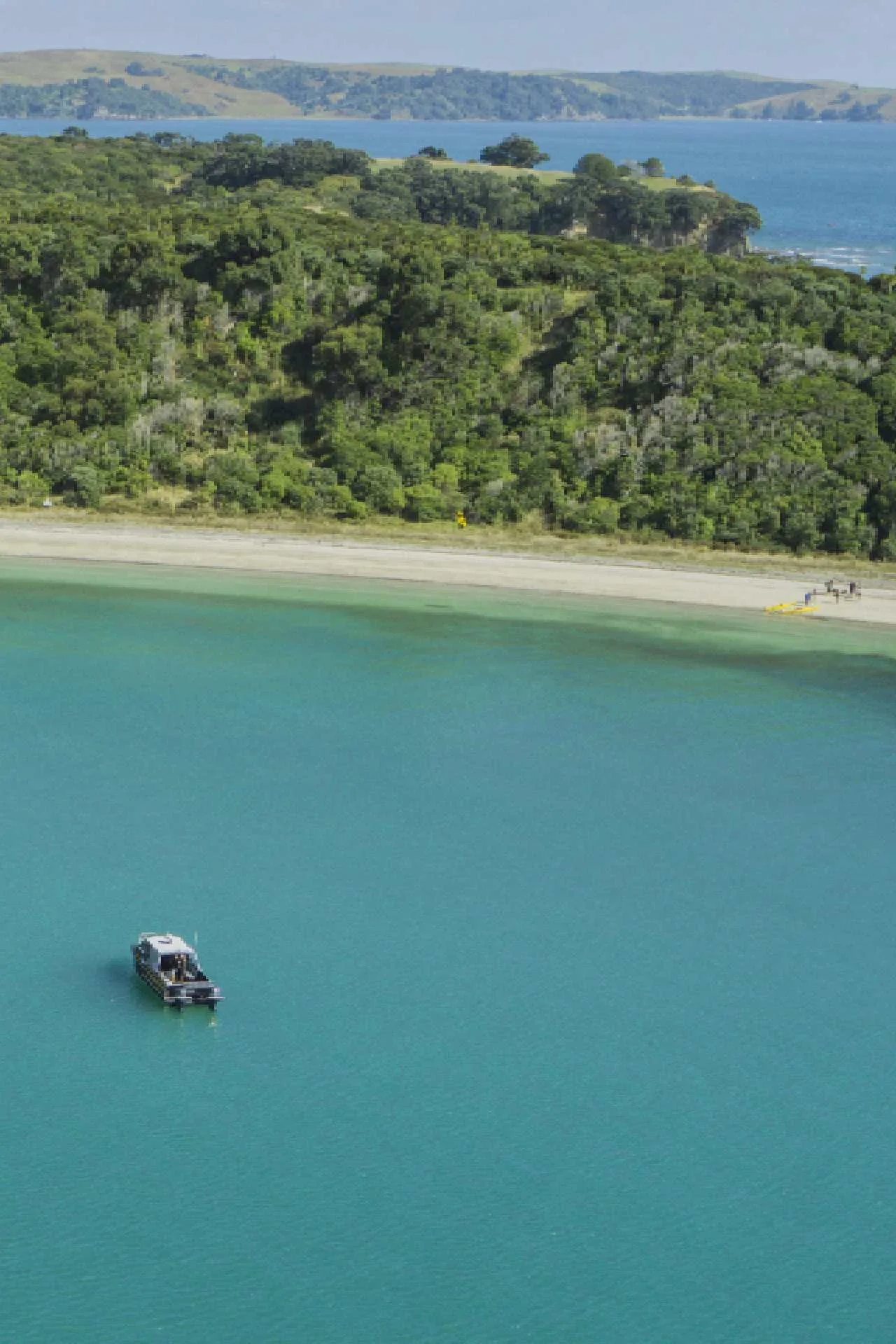 14 Epic Auckland Walks And Hikes For Nature Lovers — Petrina Darrah