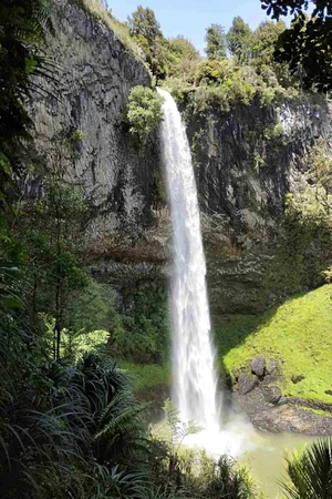 What To Do In Raglan, New Zealand's Hippie Surf Town — PETRINA DARRAH