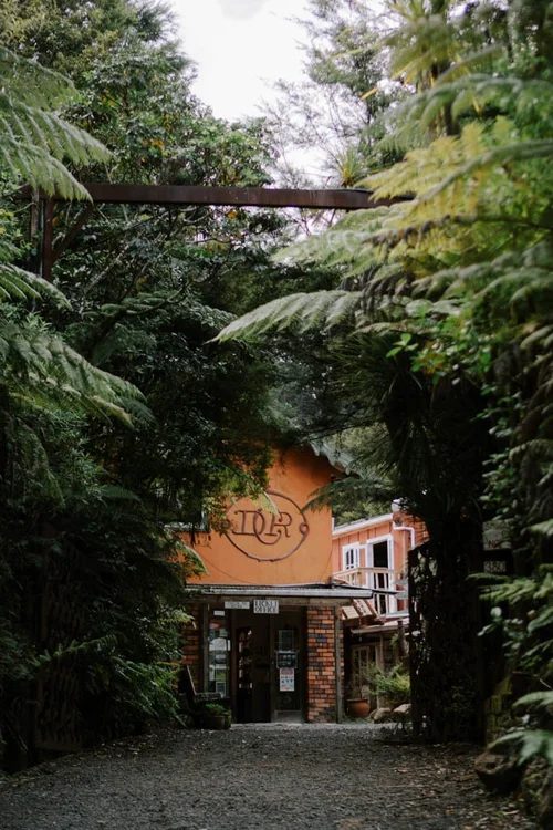 Road Trip The Coromandel Peninsula: My Guide To The Best Things To Do ...