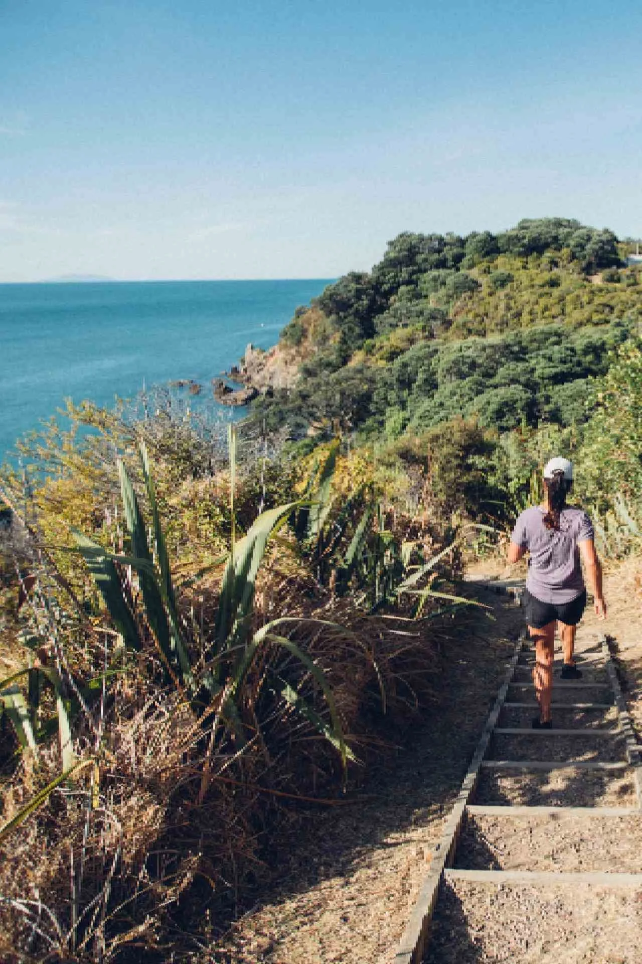 14 Epic Auckland Walks And Hikes For Nature Lovers — Petrina Darrah
