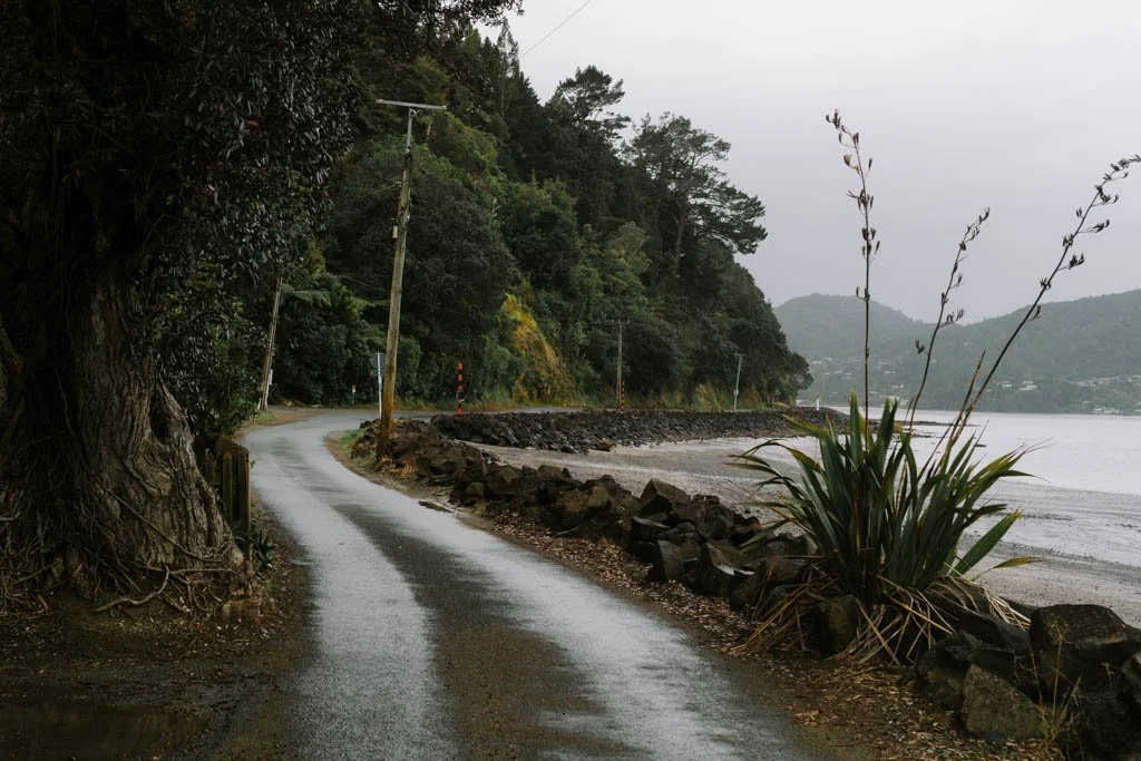 The Best Day Trips From Auckland (With & Without A Car) — PETRINA DARRAH