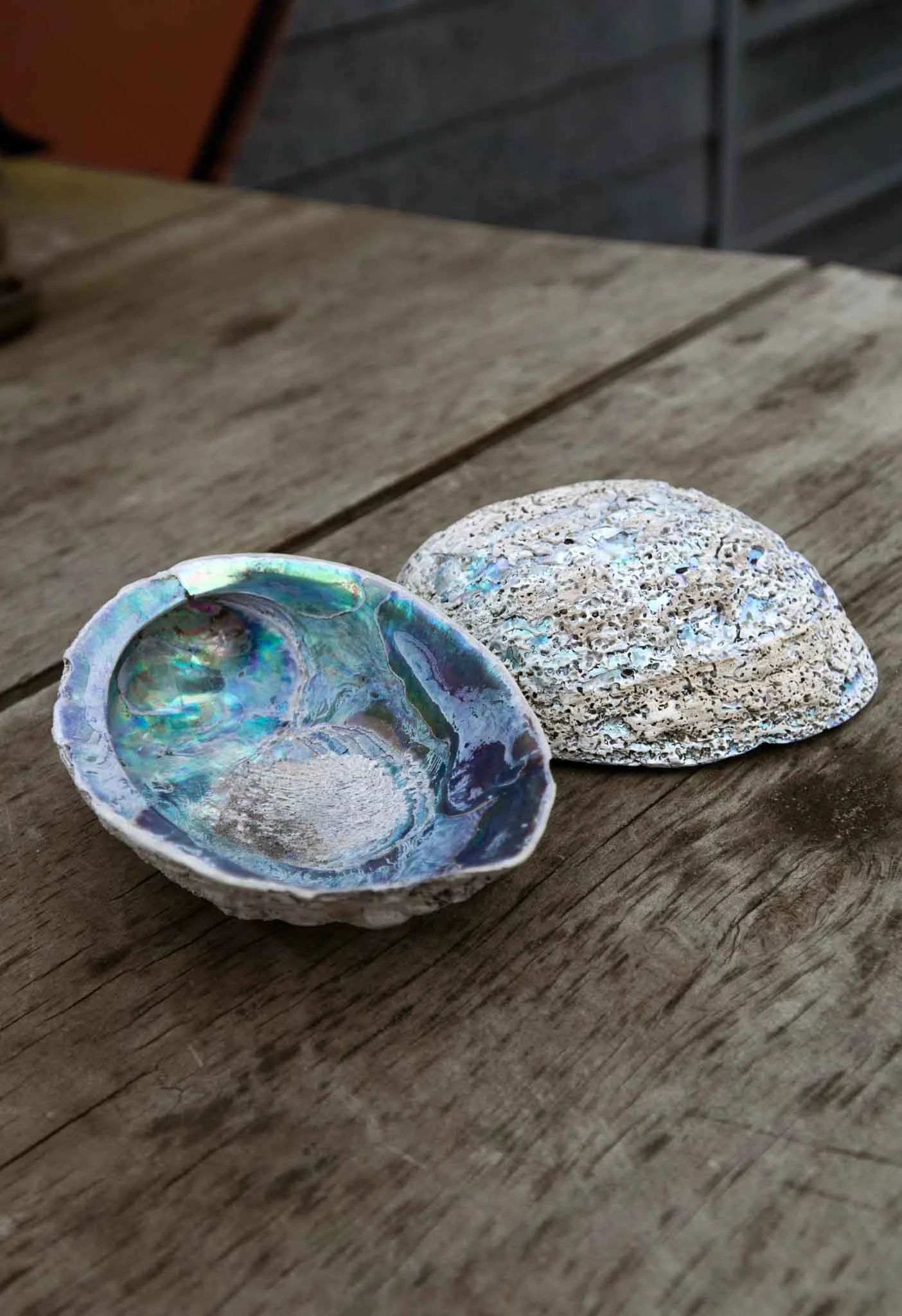 What Should You Buy In New Zealand? Take These Incredible Souvenirs ...