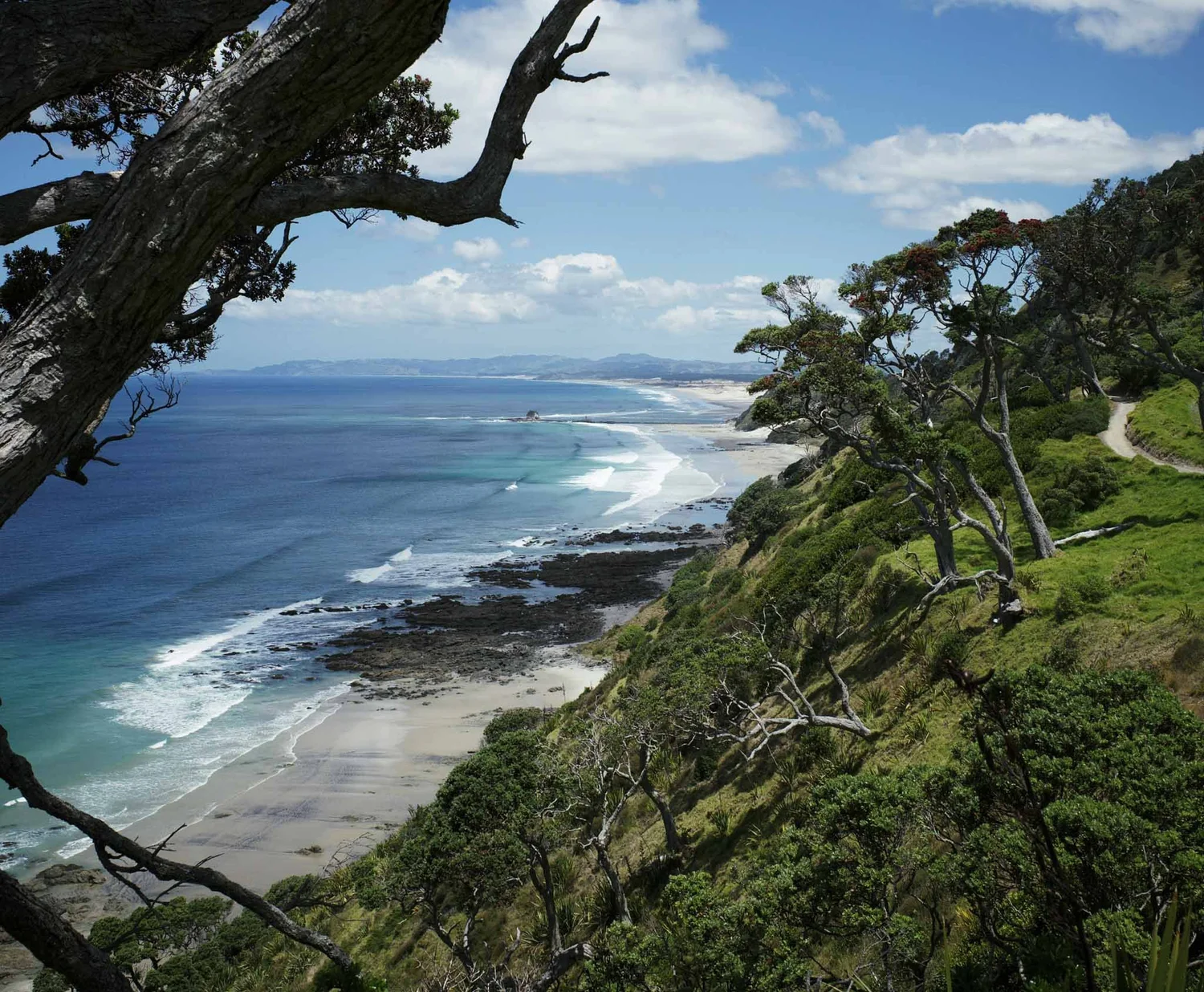 14 Day Trips From Auckland (With & Without A Car) — PETRINA DARRAH