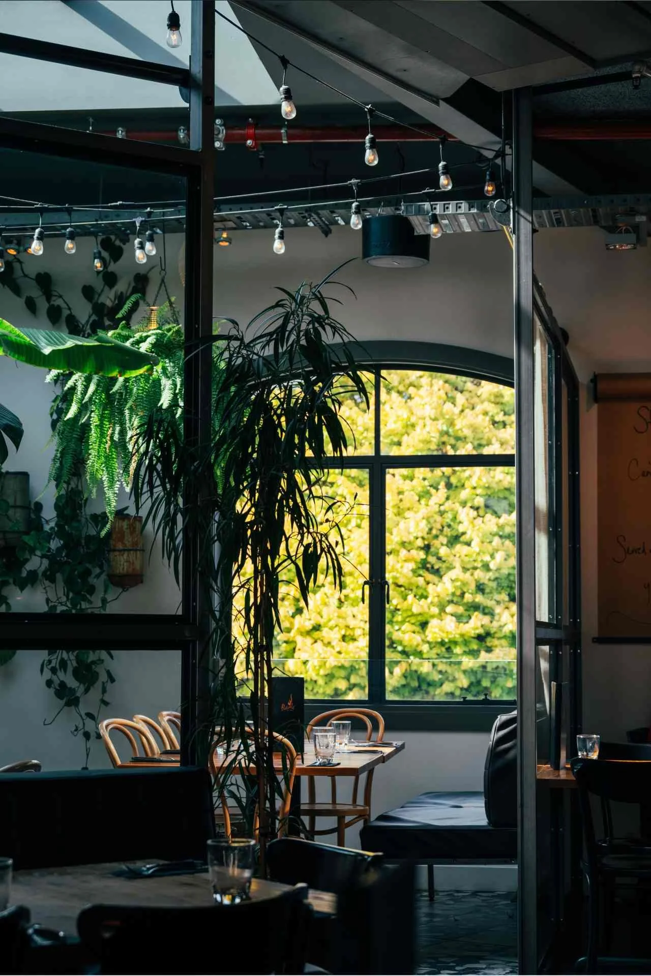 9 Exceptional Queenstown Restaurants for Foodies — Petrina Darrah