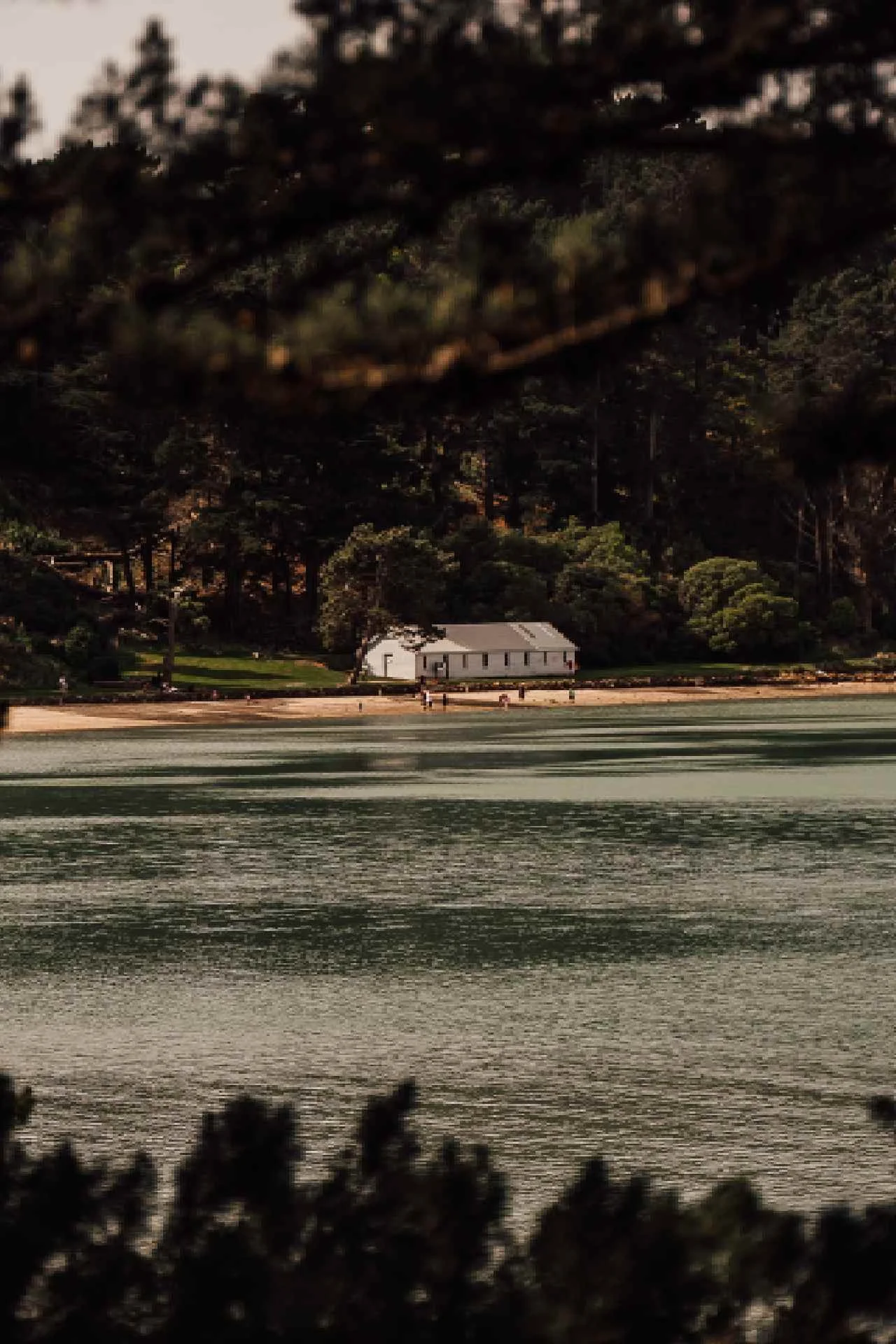 16 Interesting Things To Do In Christchurch, New Zealand — PETRINA DARRAH