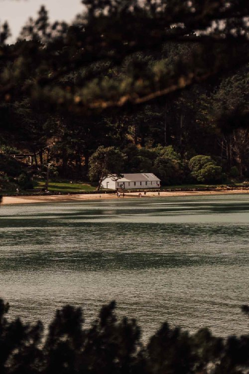 16 Interesting Things To Do In Christchurch, New Zealand — PETRINA DARRAH