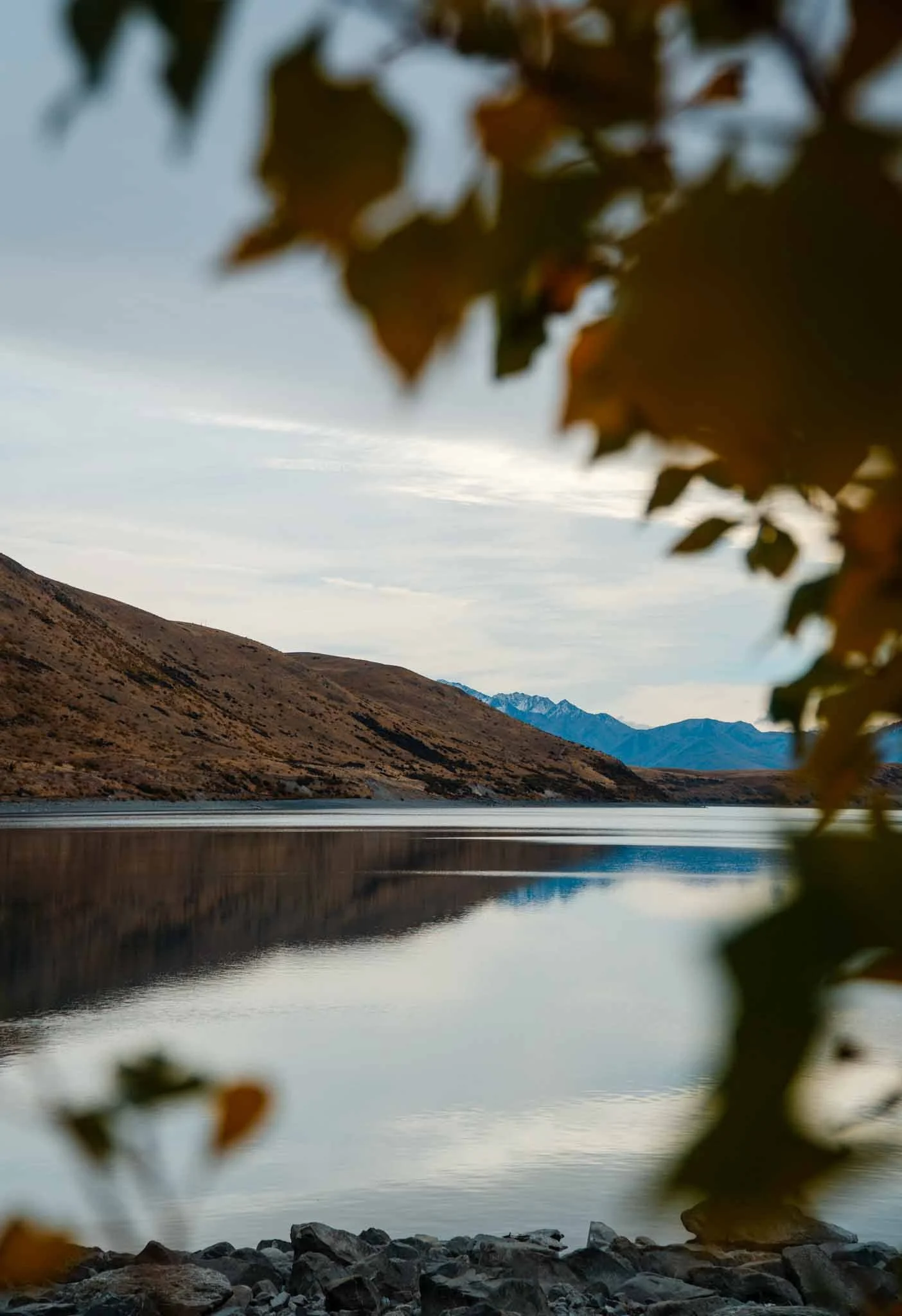 8 Best Things To Do In Lake Tekapo in 24 Hours - Lupins, Stars, Views ...