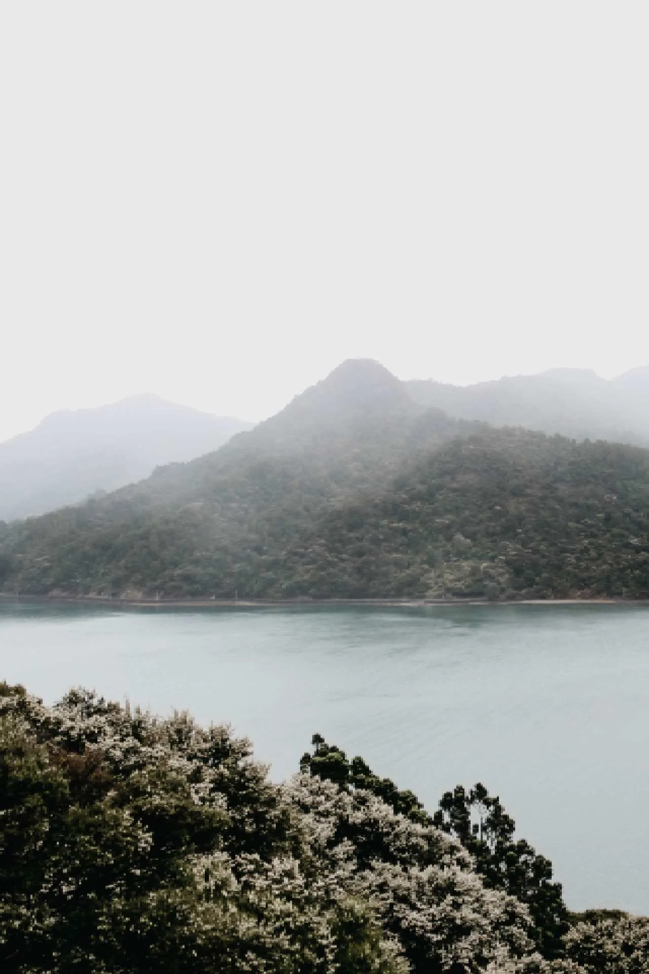 14 Epic Auckland Walks And Hikes For Nature Lovers — Petrina Darrah