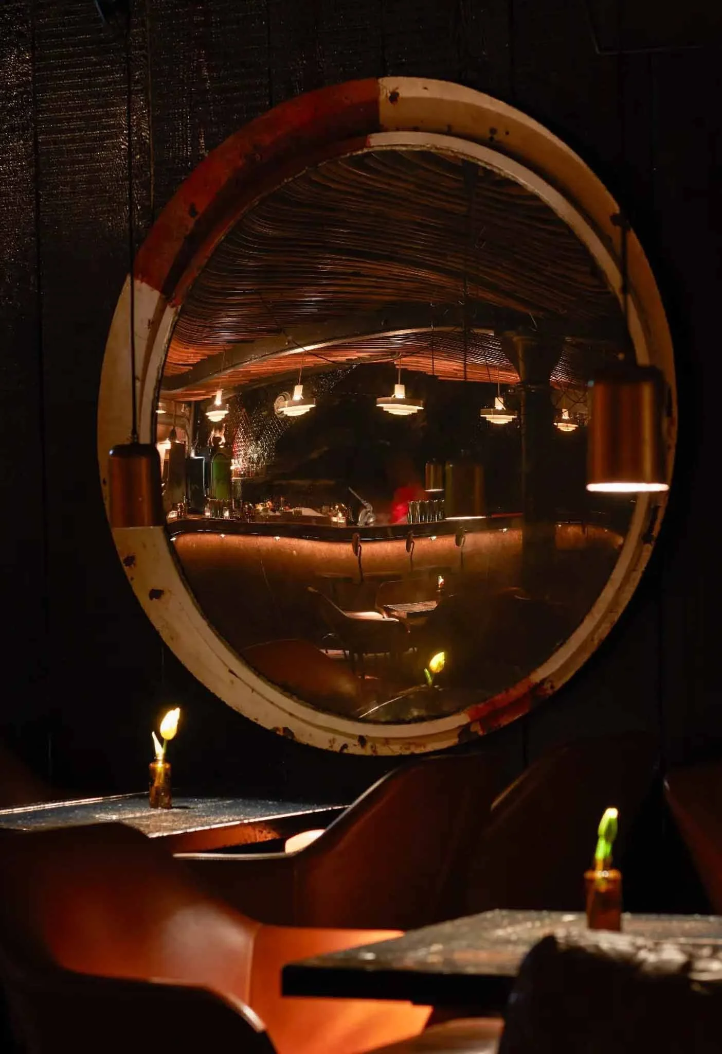 24 Cool & Unique Things To Do In Auckland: A Local's Guide — PETRINA DARRAH