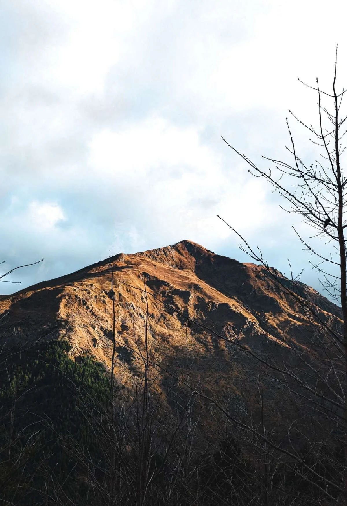 Is It Worth Visiting New Zealand In Winter? My Thoughts As A Local ...