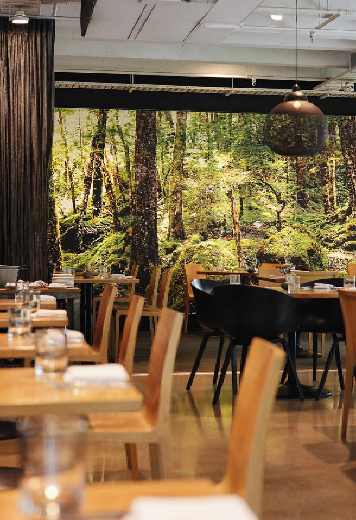 9 Exceptional Queenstown Restaurants for Foodies — PETRINA DARRAH