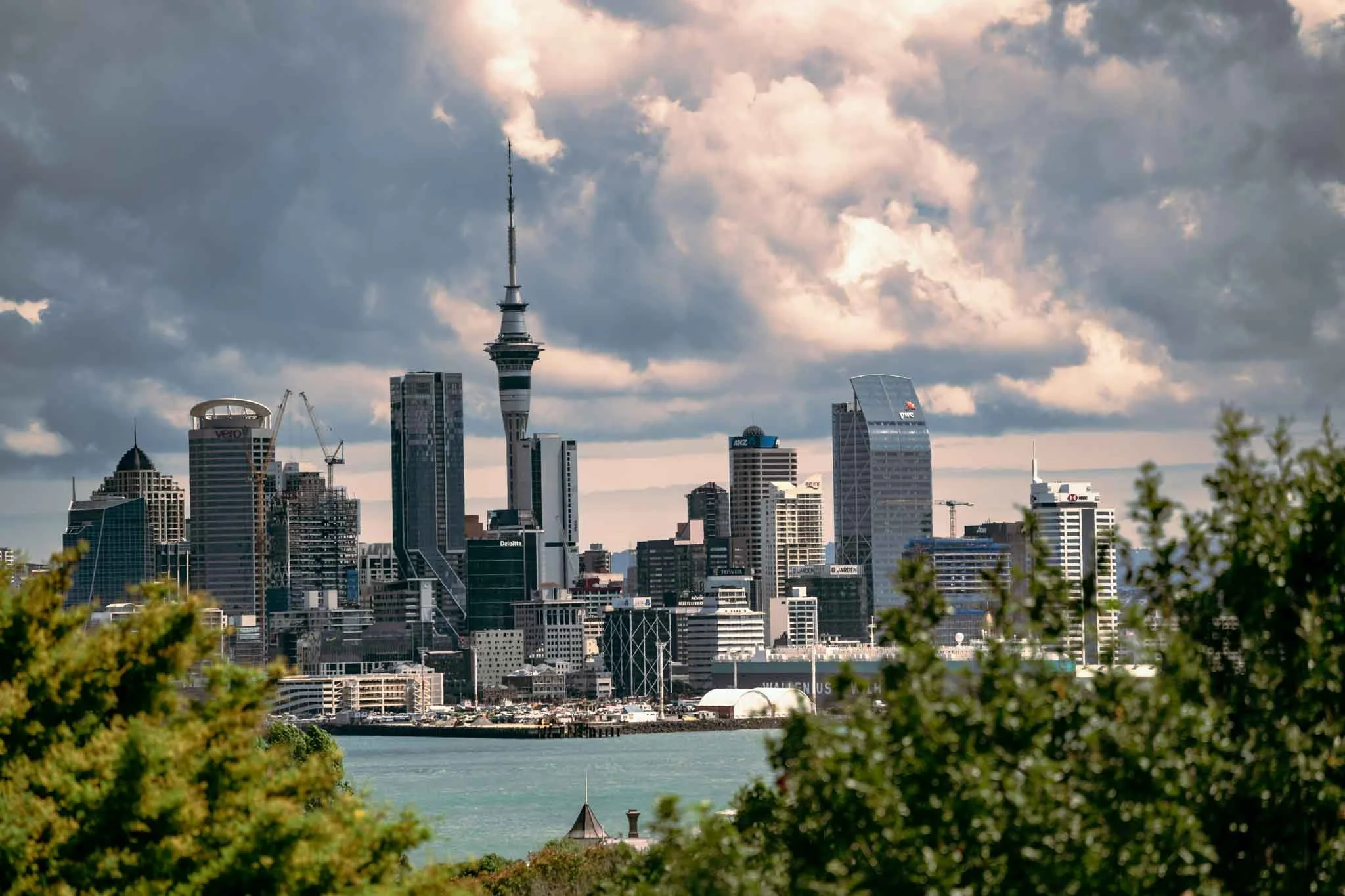 24 Cool & Unique Things To Do In Auckland: A Local's Guide — PETRINA DARRAH