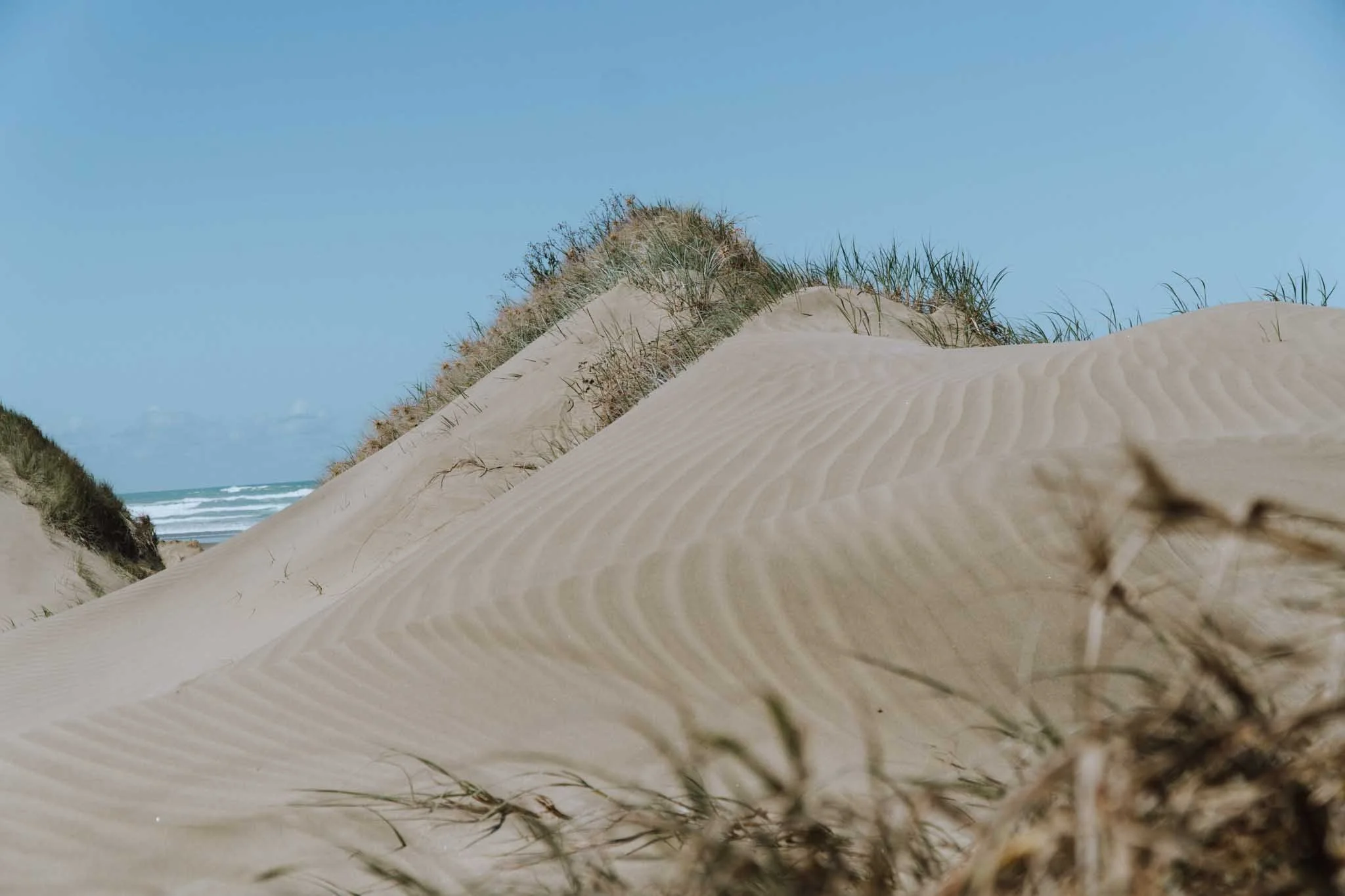 North Or South: Which New Zealand Island Should You Visit? Here's What ...