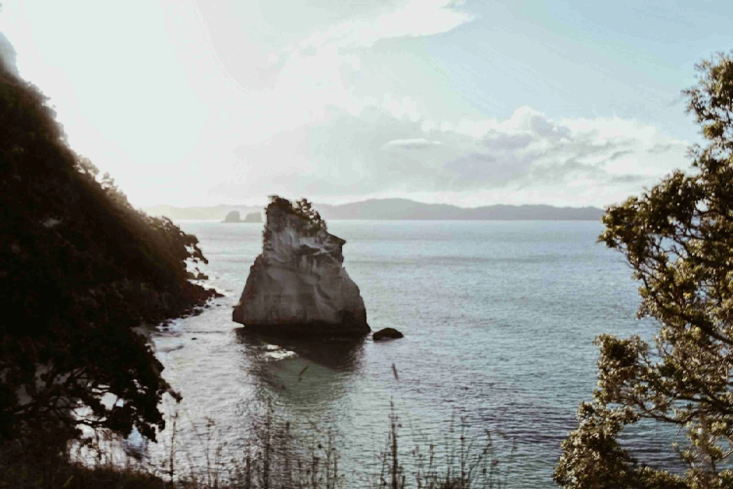 The Ultimate New Zealand Travel Guide, From a Local