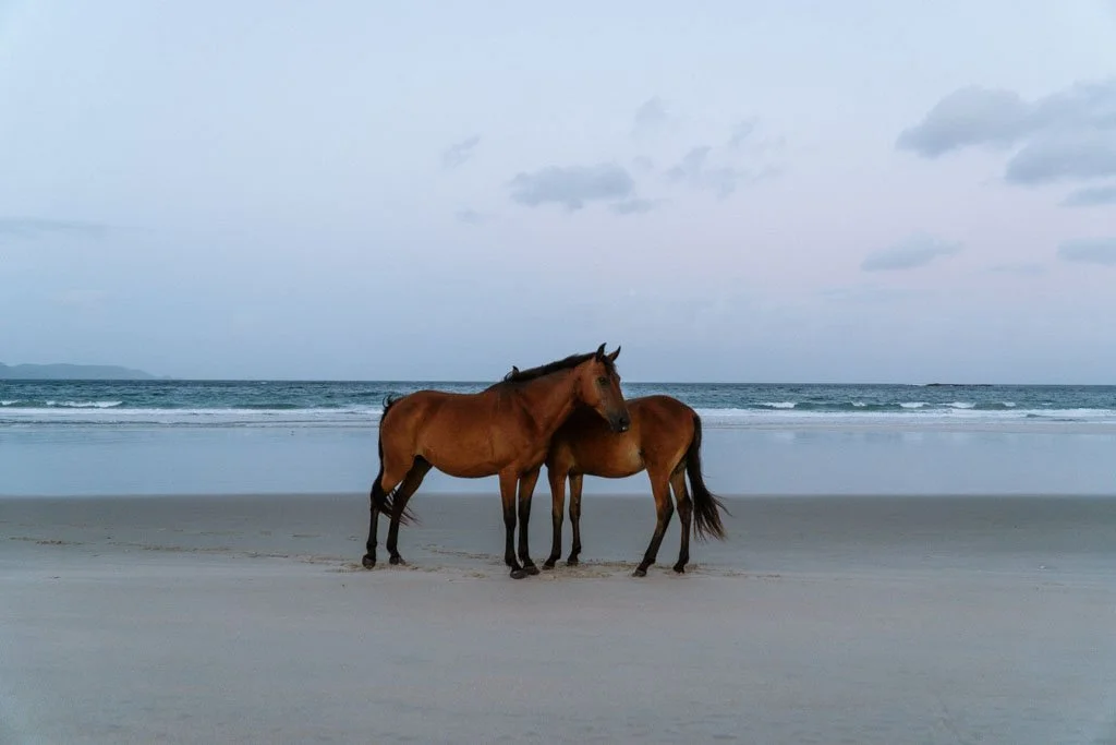 What To Pack For New Zealand In February (Weather + Travel Tips ...