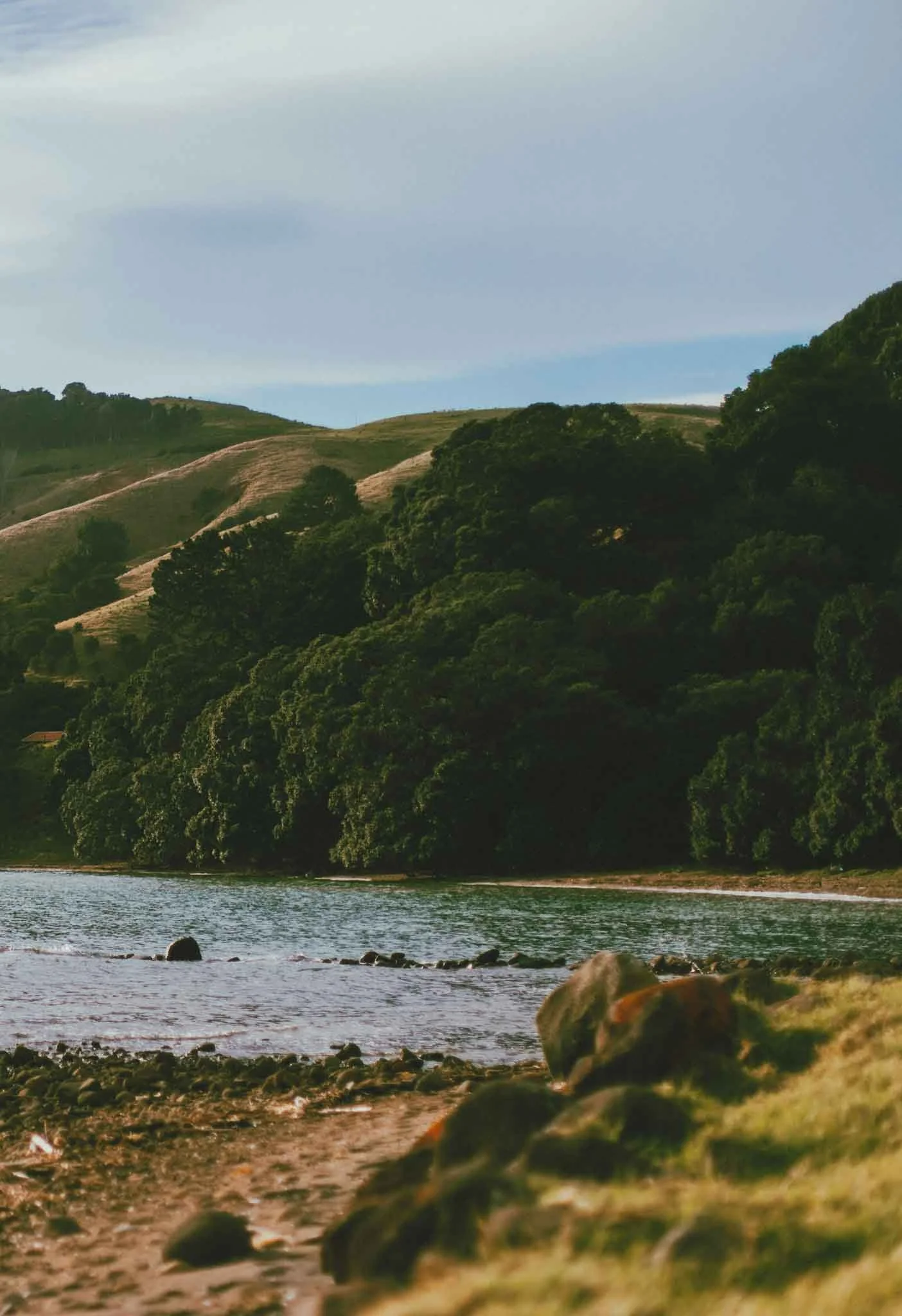 Discover The Coromandel Peninsula: My Guide To The Best Things To Do ...