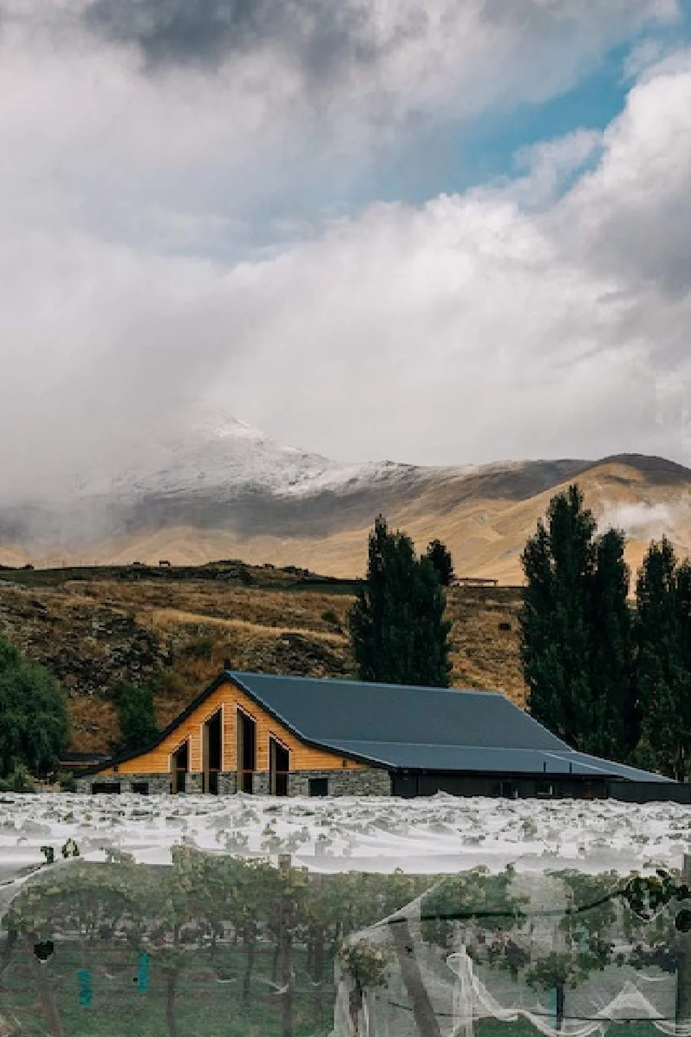 11 Incredible Queenstown Wineries to Visit for Wine Tasting (+Lunch ...