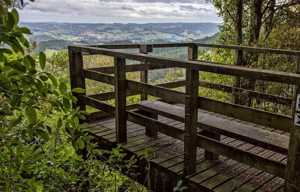 14 Epic Auckland Walks And Hikes For Nature Lovers — Petrina Darrah
