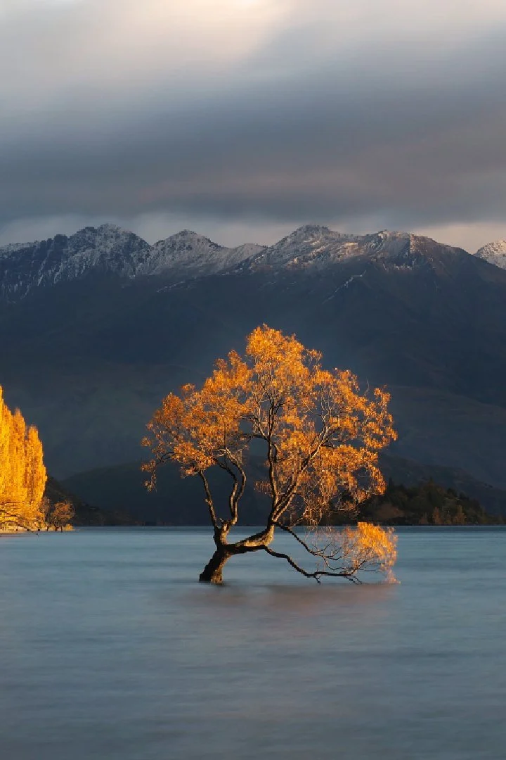 21 EPIC Things To Do In Wanaka, New Zealand — Petrina Darrah