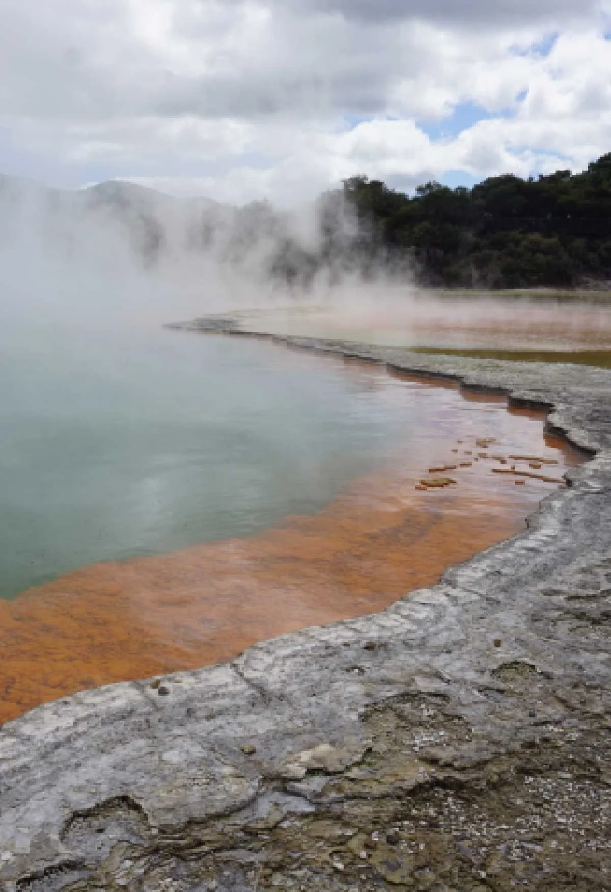 20 Unique Places To Go In The North Island, New Zealand — PETRINA DARRAH