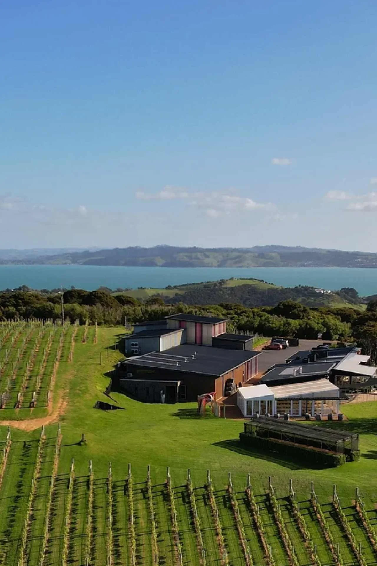 12 BEST Waiheke Wineries + How To Visit Them — Petrina Darrah