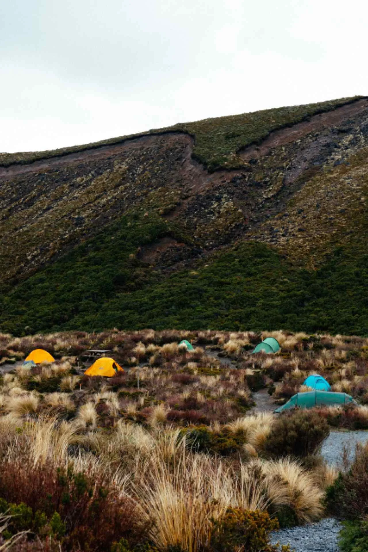 17 Incredible Campgrounds In The South Island, New Zealand — Petrina Darrah