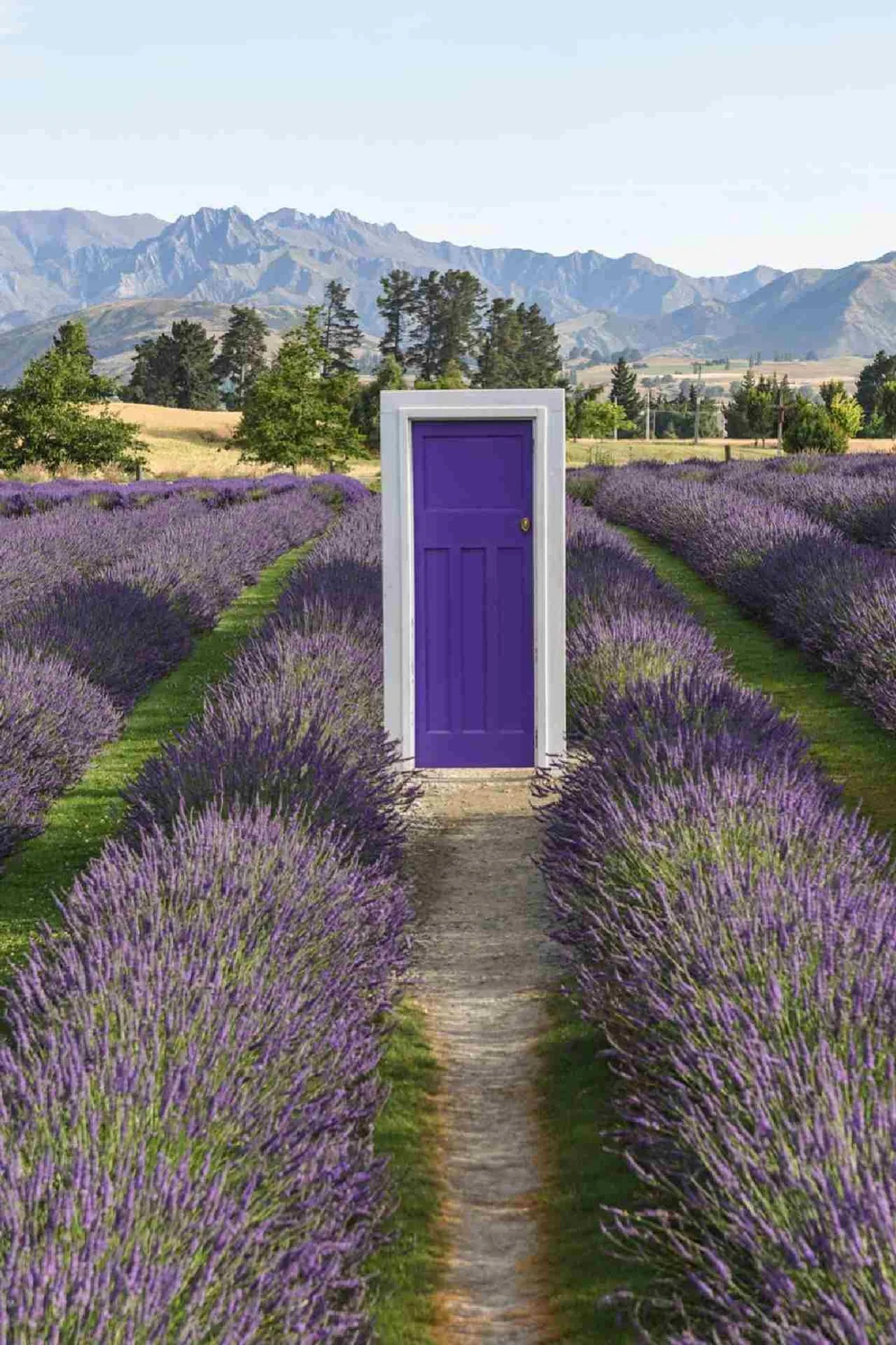 21 EPIC Things To Do In Wanaka, New Zealand — Petrina Darrah