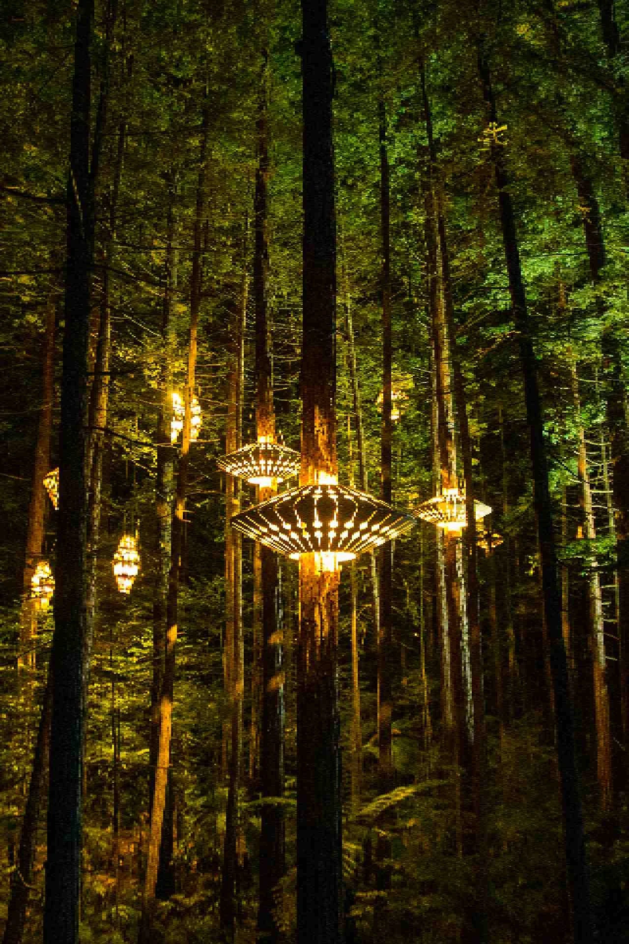 Driving Auckland to Wellington: 8 Places To Stop On A Cross Country ...