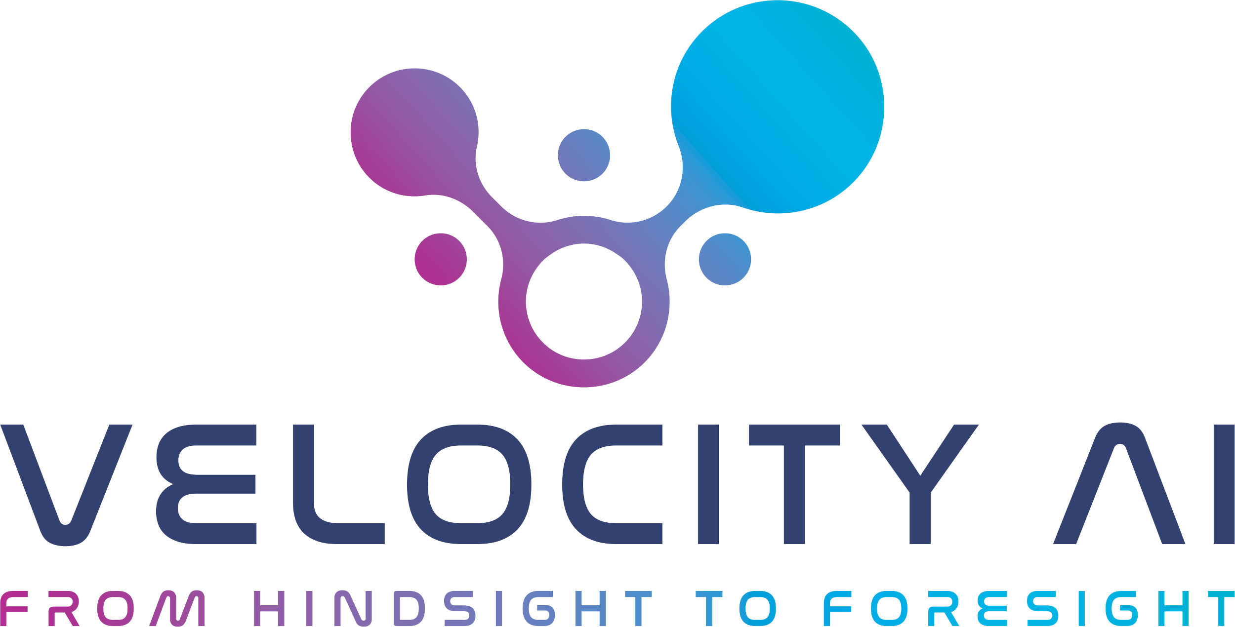 Velocity AI