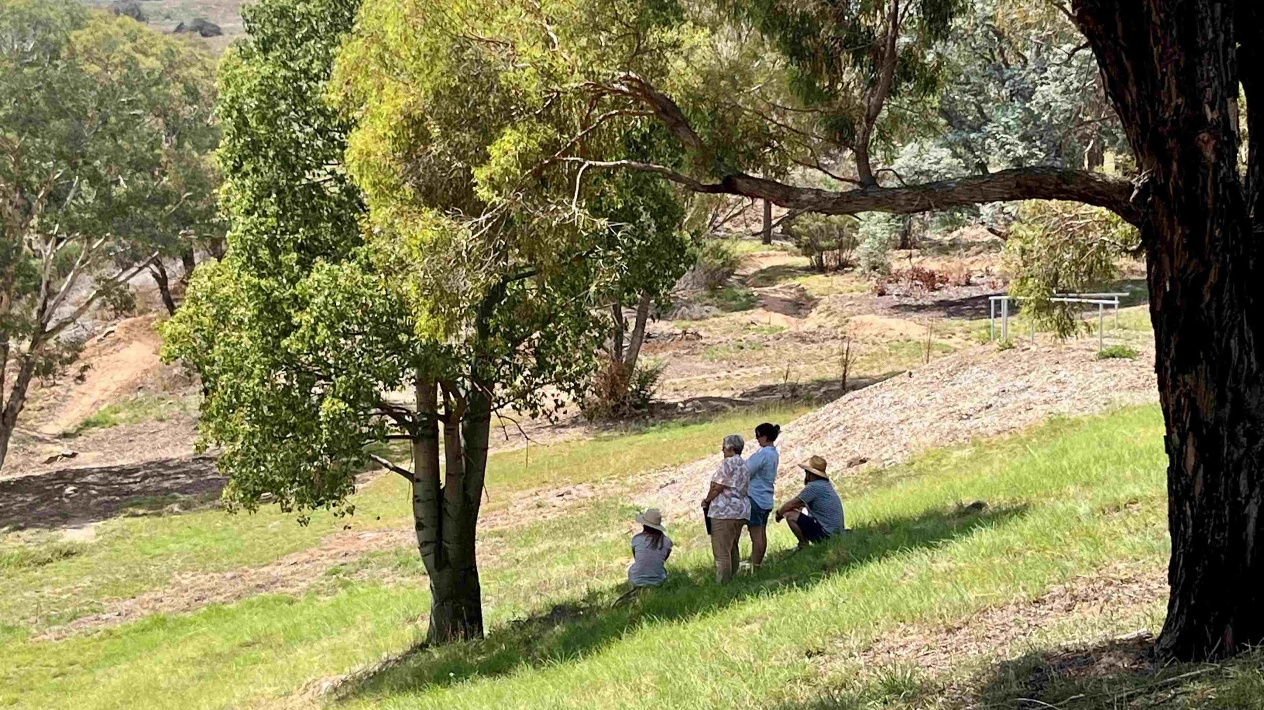 Empowering Clinicians & Youth Workers in Nature Prescribing at Corryong ...