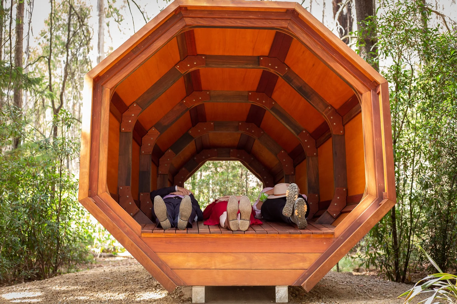 Nature Fix | Connecting you to the restorative powers of nature