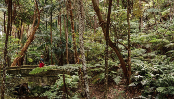 Nature Fix | Connecting you to the restorative powers of nature ...