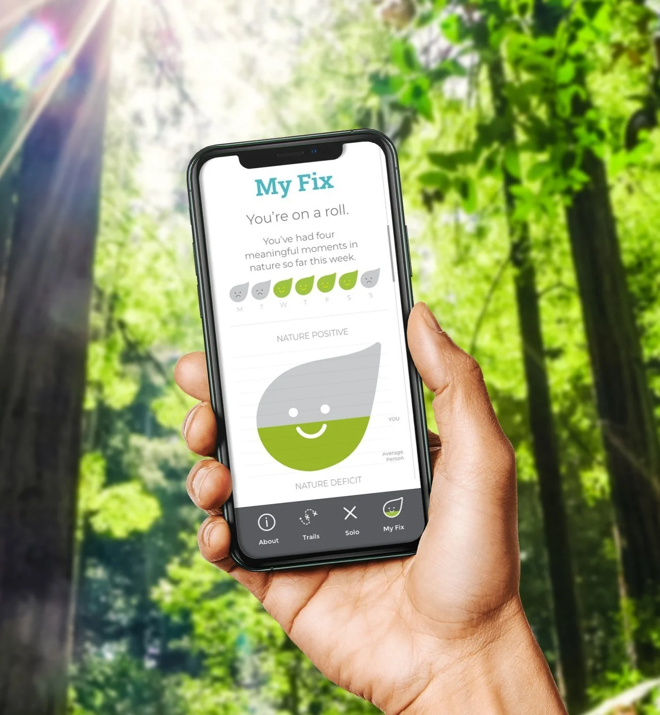 Nature Fix | Connecting you to the restorative powers of nature ...