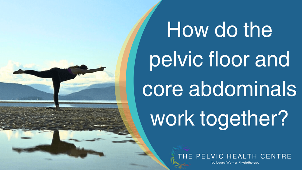 How do the pelvic floor and core abdominals work together? — Laura ...