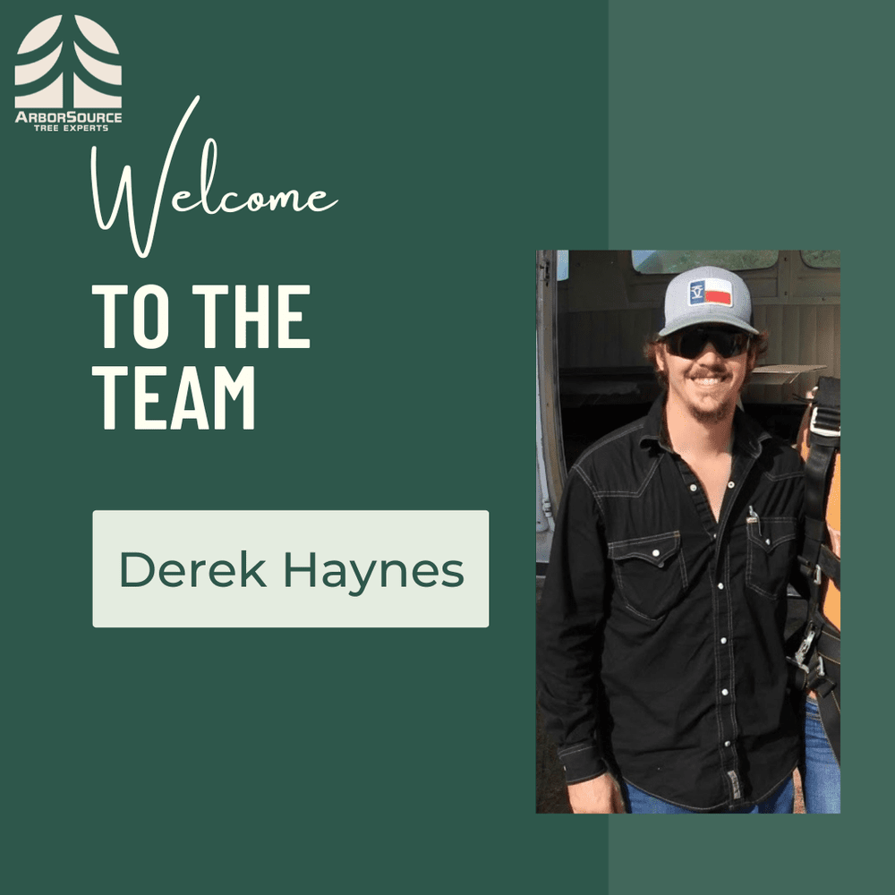 Welcoming Derek on Full Time! — ArborSource Tree Experts