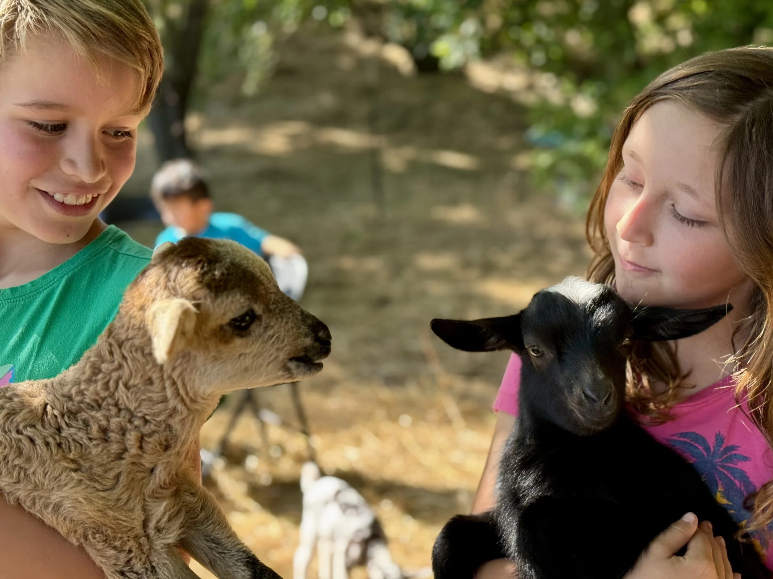 Events — Riverdance Farms