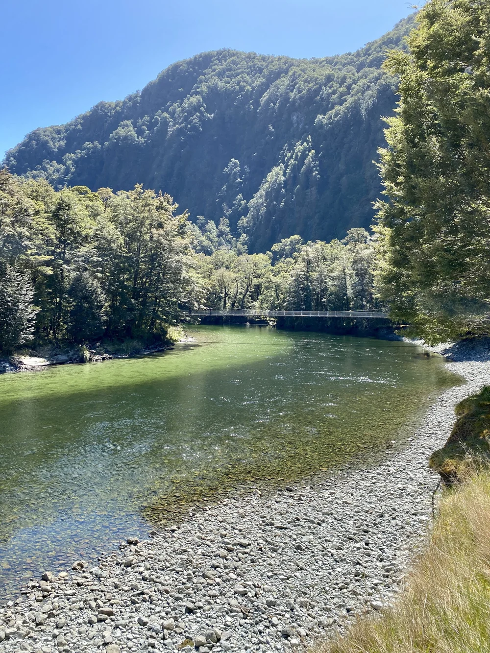 Milford Track - Great Walks Snapshot — Freewheeling Kiwi