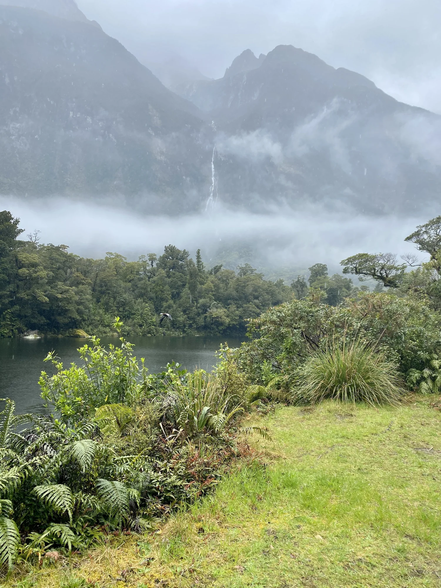 Milford Track - Great Walks Snapshot — Freewheeling Kiwi