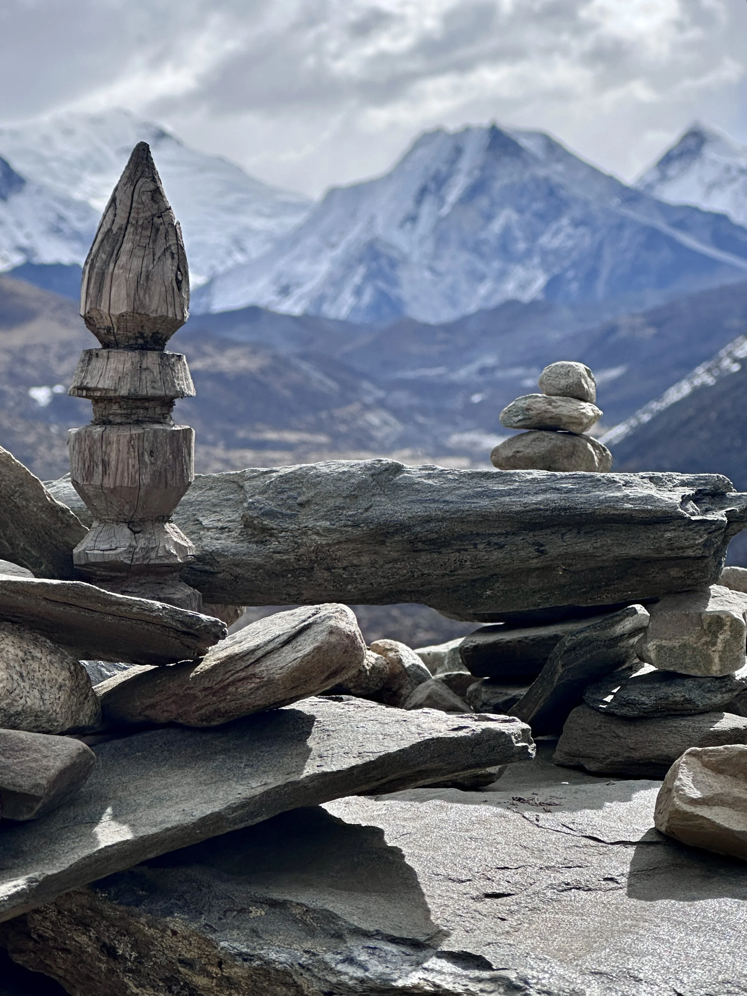 Shambhala — Freewheeling Kiwi