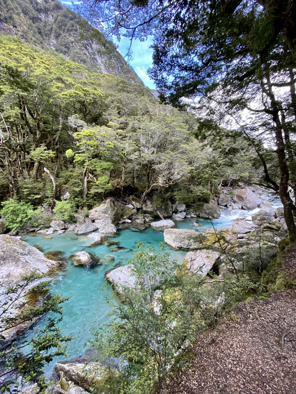 Routeburn Track - Great Walks Snapshot — Freewheeling Kiwi