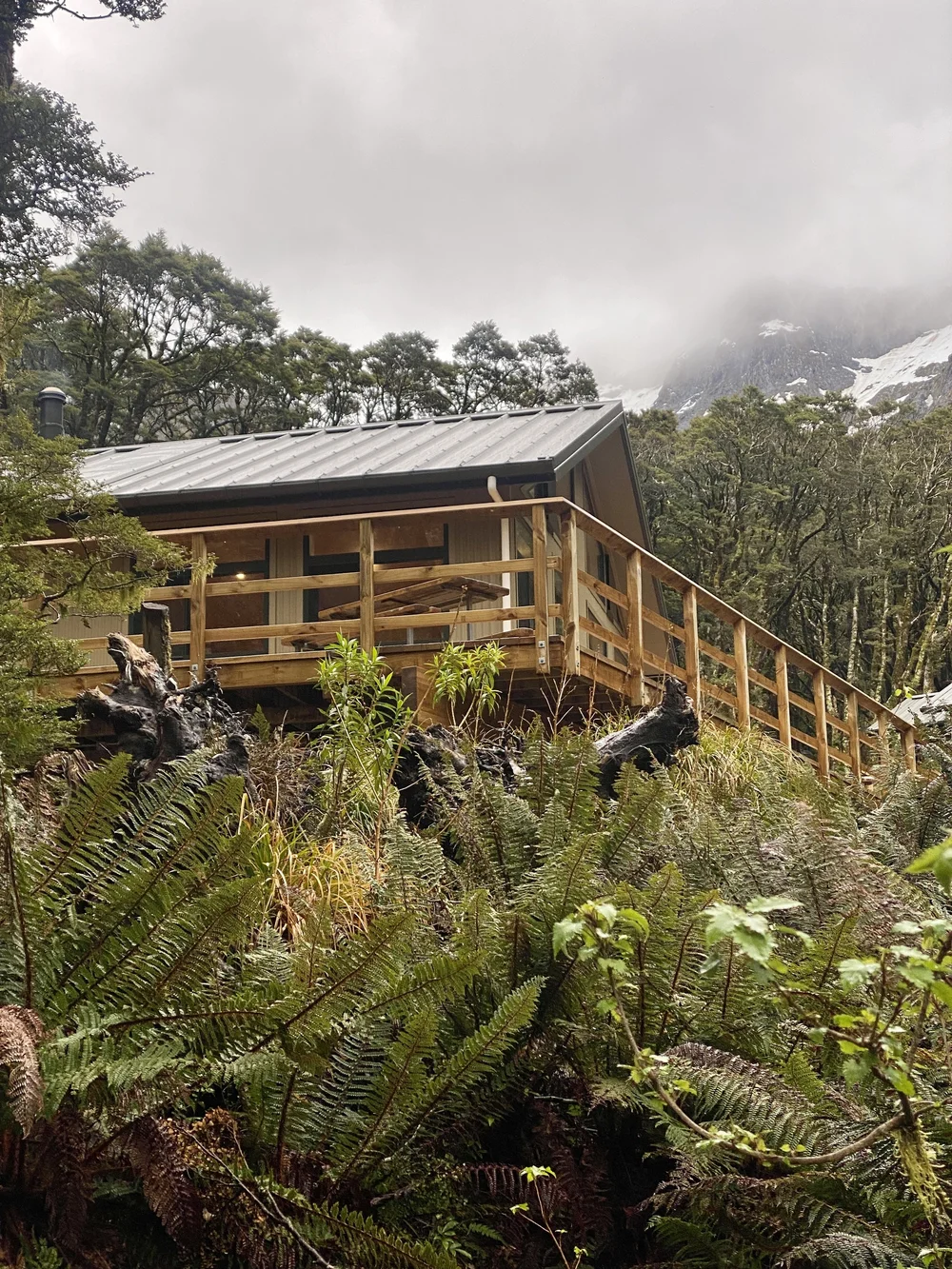 Milford Track - Great Walks Snapshot — Freewheeling Kiwi