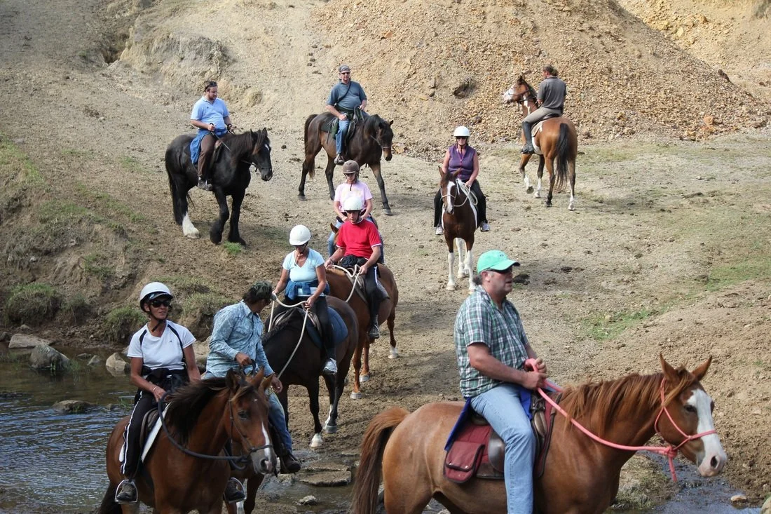 Redcliffs Equestrian